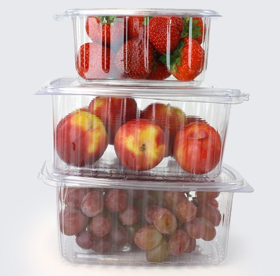 Caterbox | Hinged Plastic Food Tubs