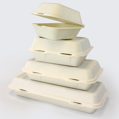 Food Containers | Hinged Boxes