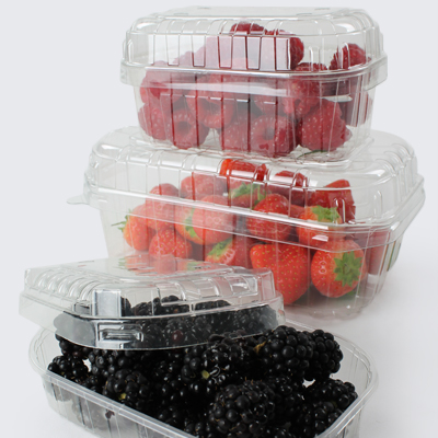 Clear Plastic Strawberry Containers Durable And Versatile 500g Clear